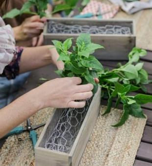 Workshops – Sam's Stems